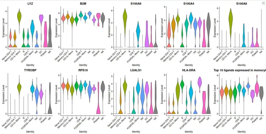 单细胞互作新思路！NicheNet实战：单核细胞如何调控T细胞？附代码_r语言单细胞nichnet分析-CSDN博客