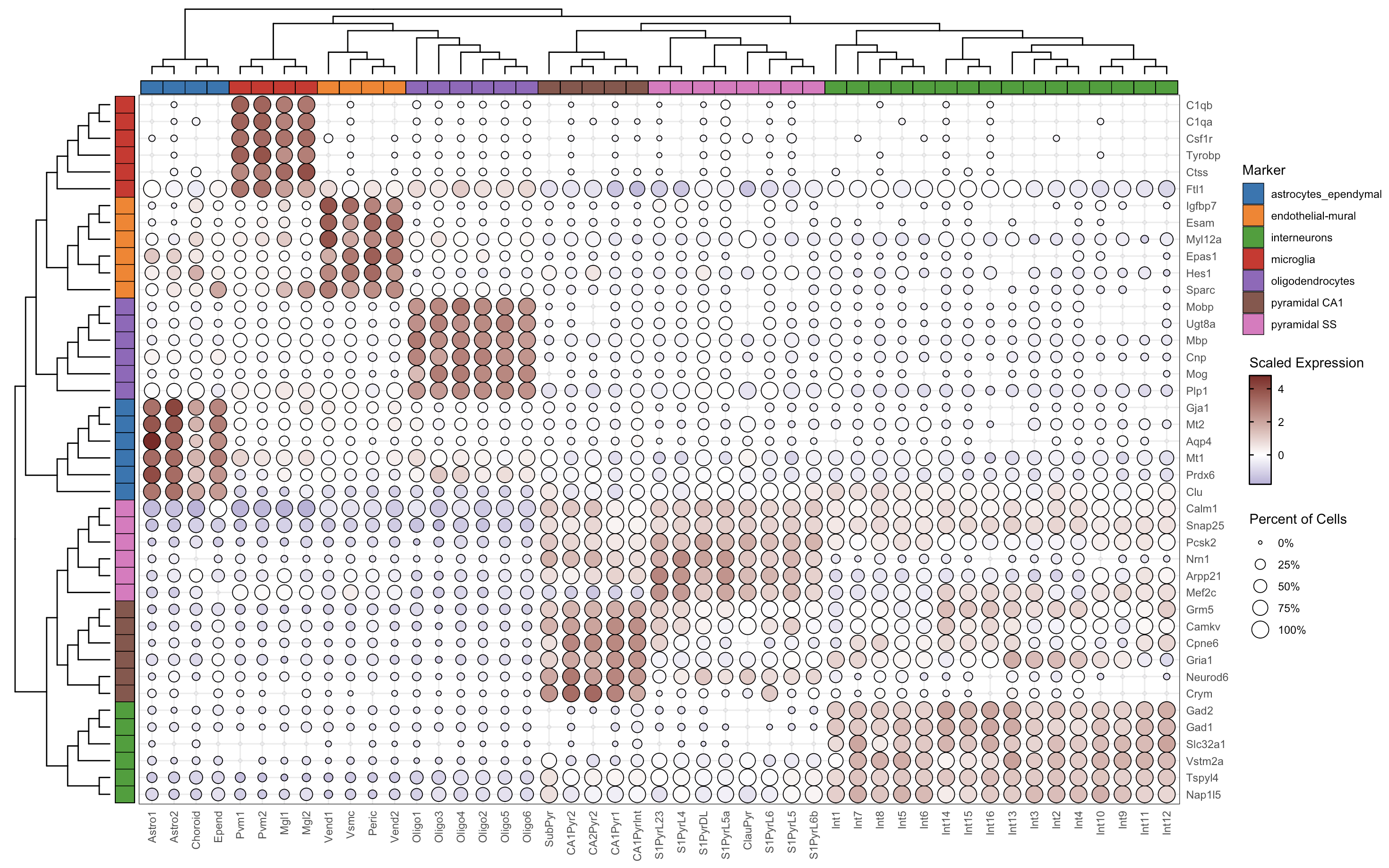使用scDotPlot包绘制单细胞超绝marker基因气泡图！-CSDN博客