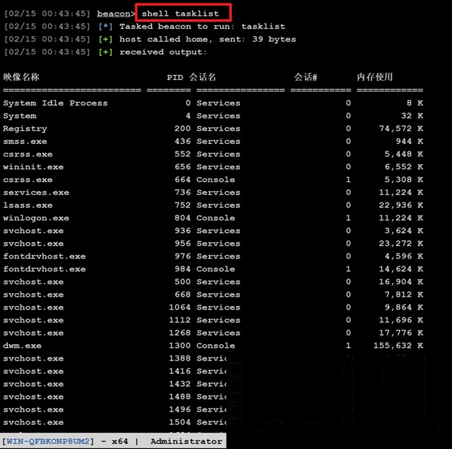 CobaltStrike：深入探索本地信息收集技巧，从零基础到精通，收藏这篇就够了!-CSDN博客