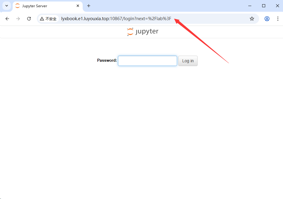 本地部署交互式计算平台 JupyterLab 并实现外部访问（ Linux 版本）_本地电脑连接服务器jupyterlab-CSDN博客