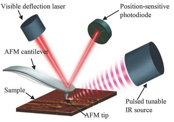 揭开材料表面神奇的“面纱”：原子力显微镜-红外光谱（AFM-IR）技术一探究竟 _afm-ir可以分析纤维表面吗-CSDN博客