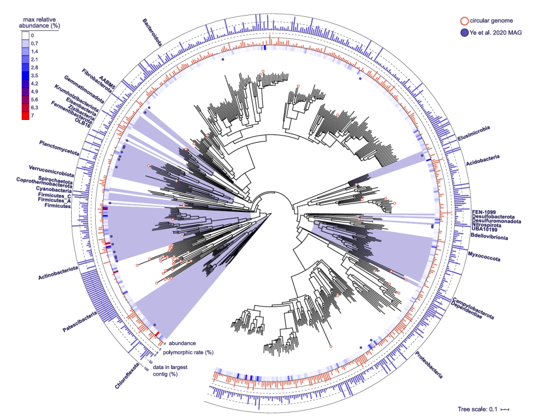 领先不止一步！凌恩生物GTDB最新版本R226火速更新！ _gtdb和ncbi数据库选择哪个-CSDN博客