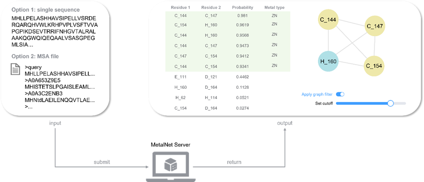 号外 | 王初课题组开发了用于预测蛋白质组中金属结合位点的在线服务器MetalNet2...-CSDN博客