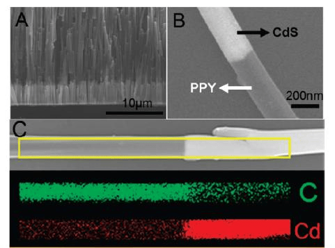 电镜测试中常用的元素分析方法：EDS、EELS、HAADF-STEM-CSDN博客