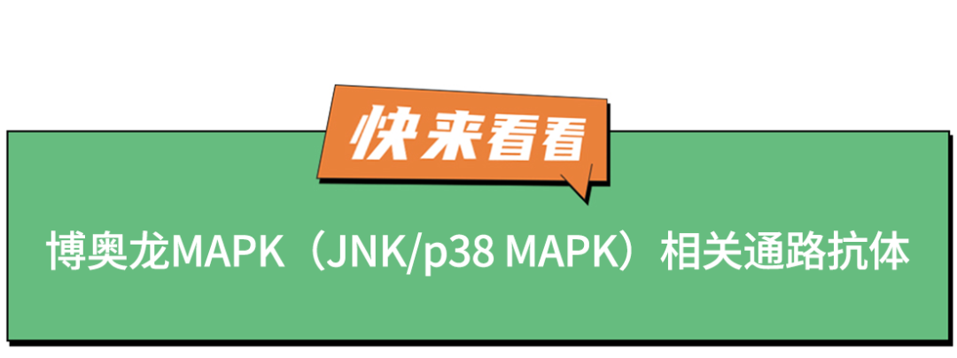 文献速递 | STM丨基质重塑对MAPK抑制剂在胰腺癌耐药中的调控机制及其应用研究-CSDN博客