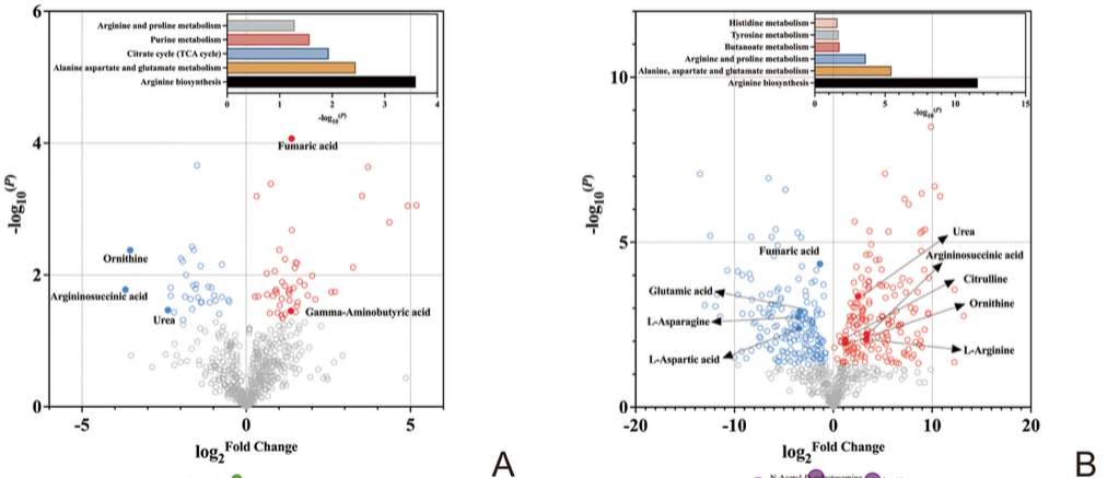 Microbiome | 宁波大学黎明团队揭示肠道微生物在鱼类氨氮解毒过程中发挥的关键作用-CSDN博客