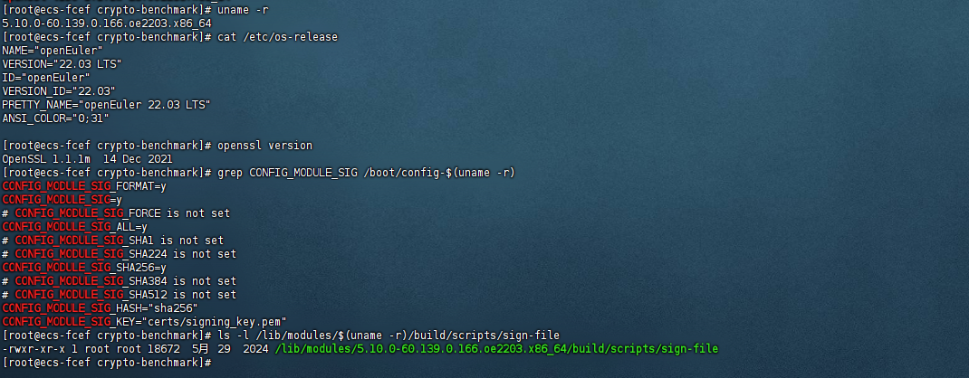 openEuler 22.03 LTS SP4 内核模块签名验证性能深度评测：安全与性能的完美平衡-CSDN博客