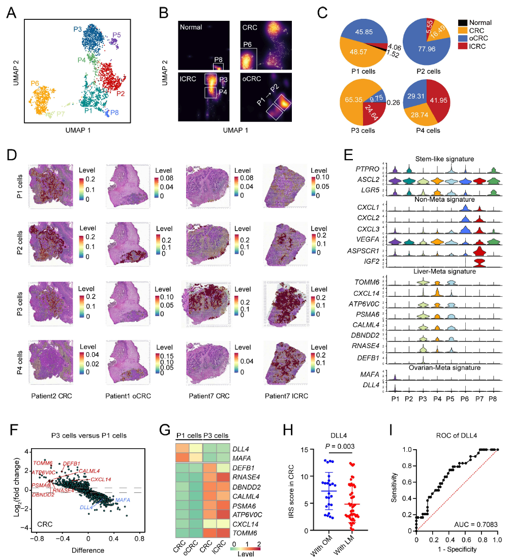 GUT (IF: 23.0) | 单细胞+空间转录组破译结直肠癌异质肿瘤干细胞器官特异性转移机制_结肠癌转移 干性 单细胞测序-CSDN博客