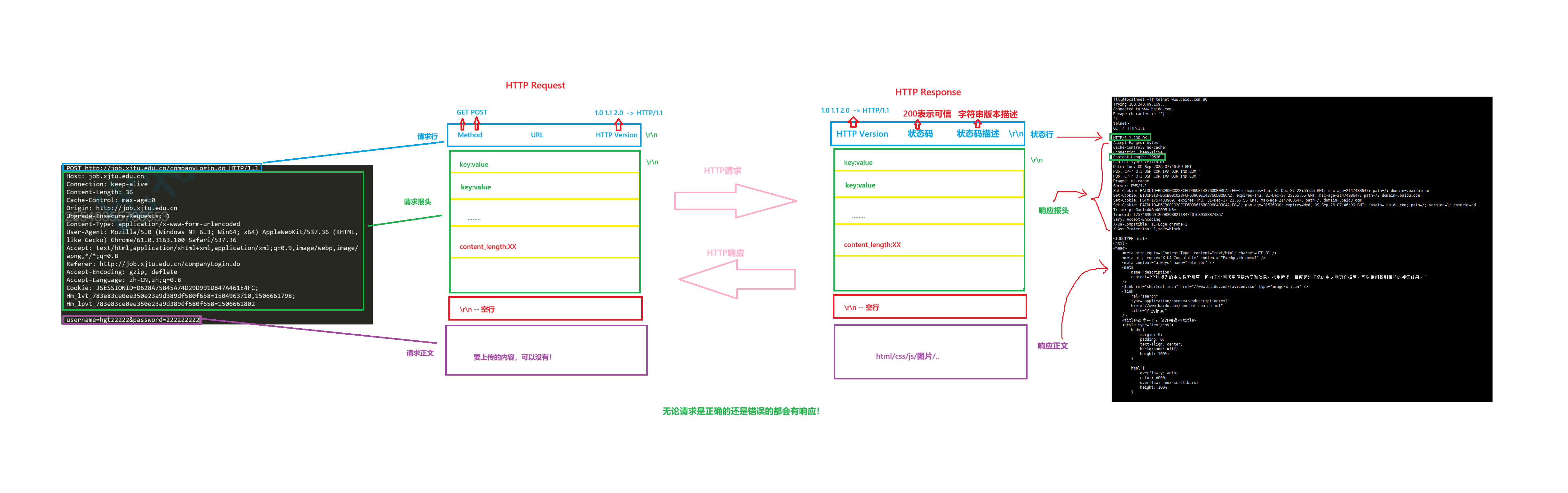 Linux网络 之 应用层协议 HTTP-CSDN博客