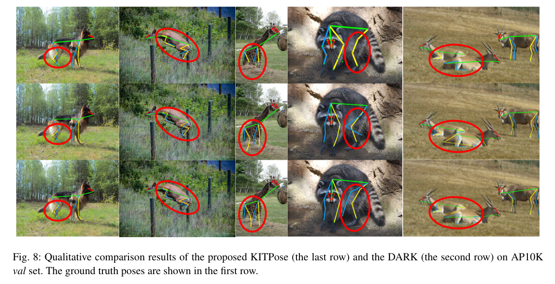 哺乳动物姿态估计：Learning Structure-Supporting Dependencies via Keypoint Interactive Transformer for ...