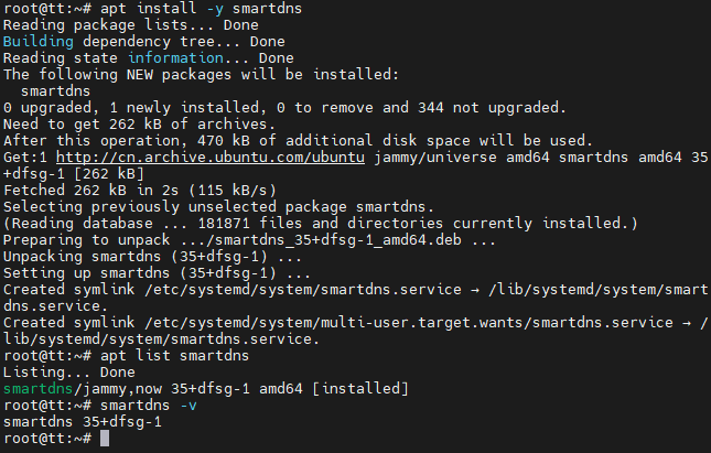 Ubuntu DNS卡顿？搭配SmartDNS永久解决DNS抽风问题-CSDN博客