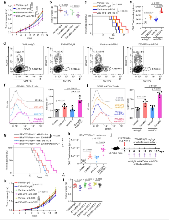 AbMole| Mi-2β在黑色素瘤免疫逃逸中的作用及其靶向抑制剂的研究进展-CSDN博客