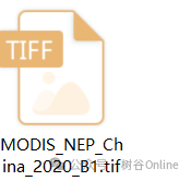 2001-2020中国净生态系统生产力（NEP）数据_nep数据-CSDN博客