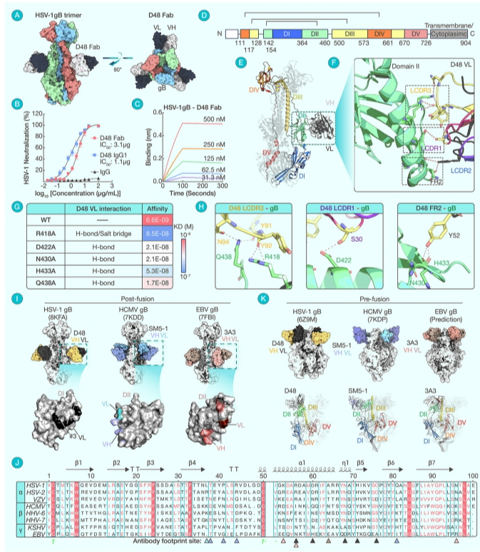 hLife 2024年第三期正式出版_phenazines: natural products for microbialgrowth c-CSDN博客
