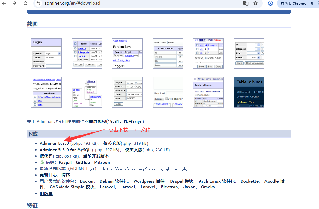 本地部署数据库管理系统 Adminer 并实现外部访问-CSDN博客