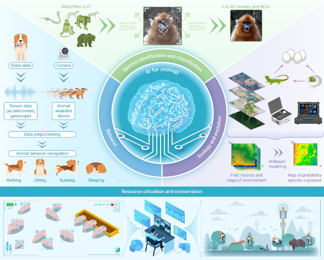 The Innovation Life | 人工智能与生命科学前沿综述-CSDN博客