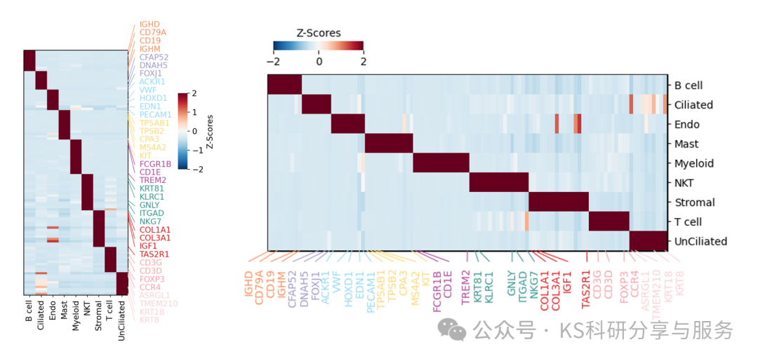 【视频-python一键函数】：热图标注特定基因及不同颜色设置展示marker基因_sc.pl.heatmap-CSDN博客
