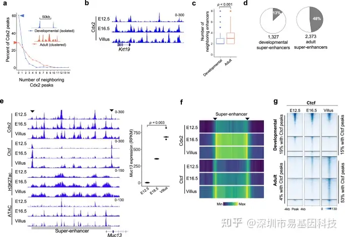 易基因：WGBS+ChIP-seq技术揭示Cdx2转录因子在发育与稳态中的动态结合机制｜NC/IF14.7-CSDN博客