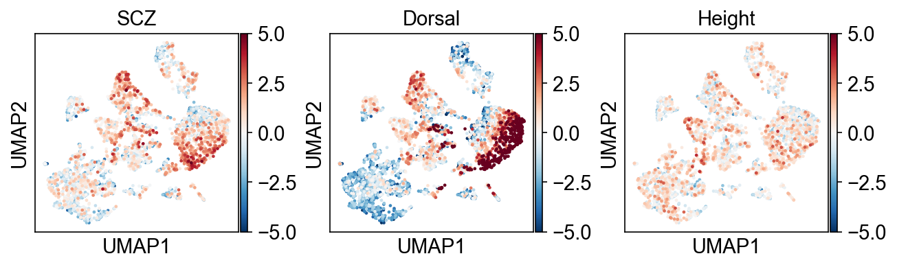 sc-DRS: 连接疾病GWAS与单细胞数据的分析方式_单细胞gwas-CSDN博客