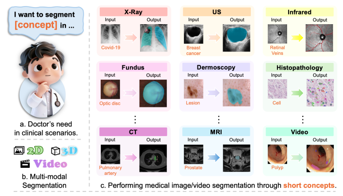 MedSAM-3：让多模态医学影像进入“概念分割时代”-CSDN博客