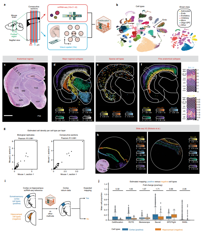 《NBT》| Cell2location注释空间数据细胞_cell2location解卷积多样本怎么做-CSDN博客