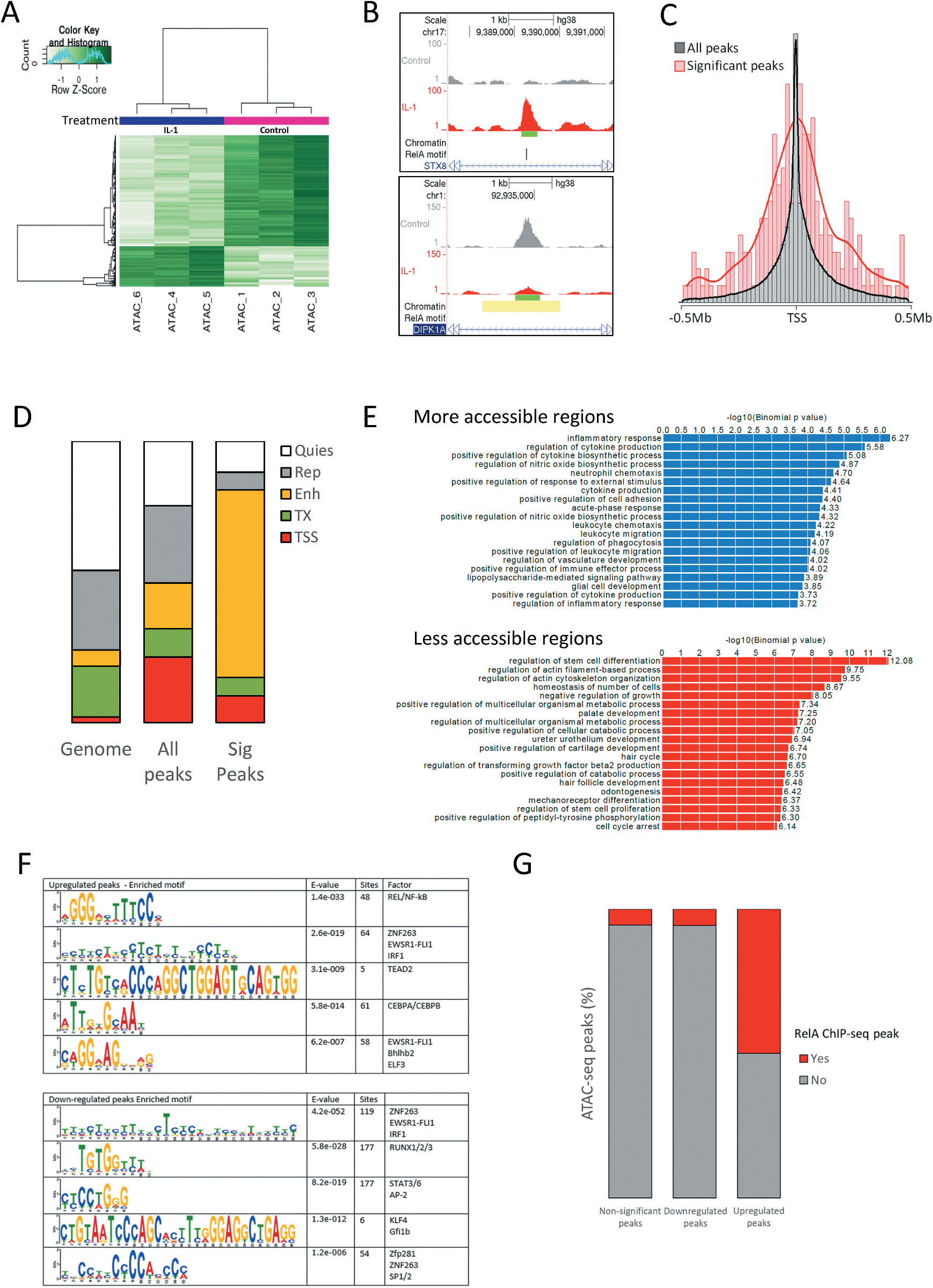 ATAC-seq-CSDN博客