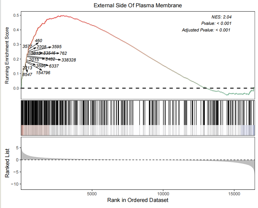 GseaVis | GSEA富集分析可视化利器-CSDN博客