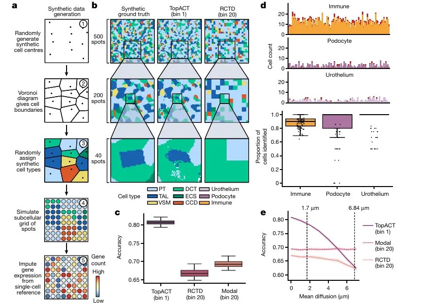 文献分享-----10X Visium HD & Stereo-seq图像分割（nature文献）_stereo-seq bin 20 bin 200-CSDN博客