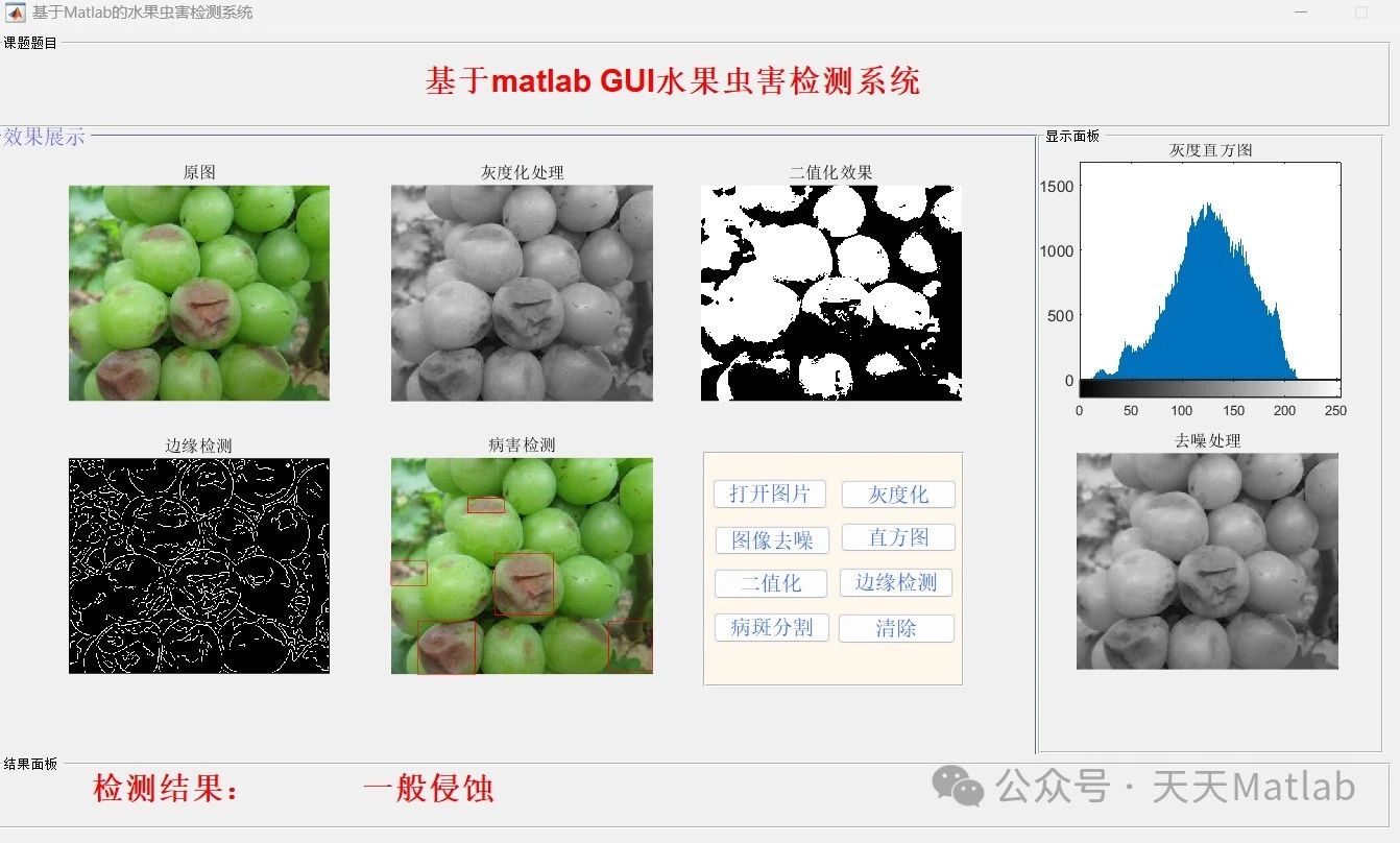 【图像检测】基于OTSU实现水果虫灾检测附Matlab代码-CSDN博客