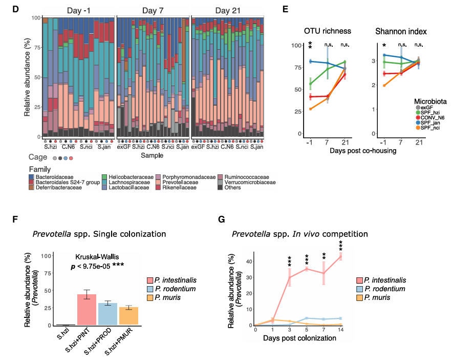 产品升级！微生物基因组多糖结合位点PUL预测_polysaccharide utilization loci-CSDN博客