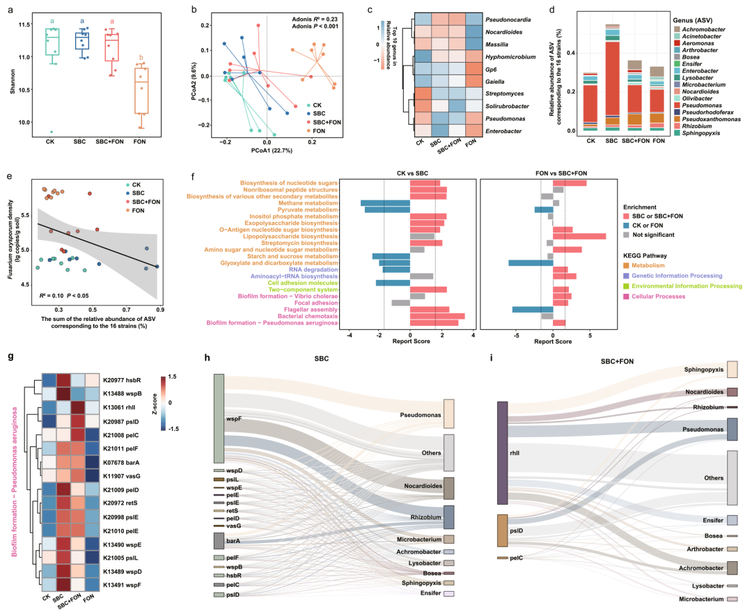 GEMs：揭秘合成菌群互作新视角-CSDN博客