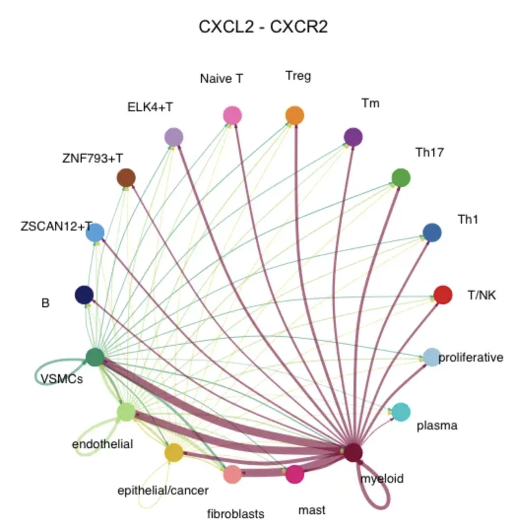 单细胞实战之cellchat——入门到进阶(高级篇1）_findenrichedsignaling-CSDN博客