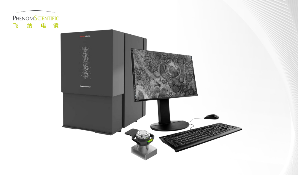 扫描透射电子显微镜详解| SEM-STEM 技术在生物学中的应用与优势-CSDN博客