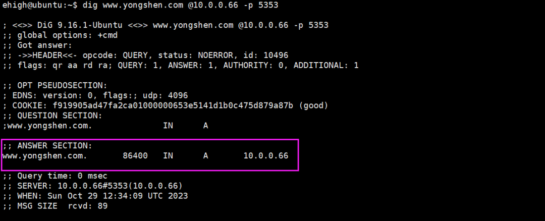 Linux使用Bind搭建DNS服务: 从菜鸟到网络大神的进阶之路[收藏级]_bind dns-CSDN博客