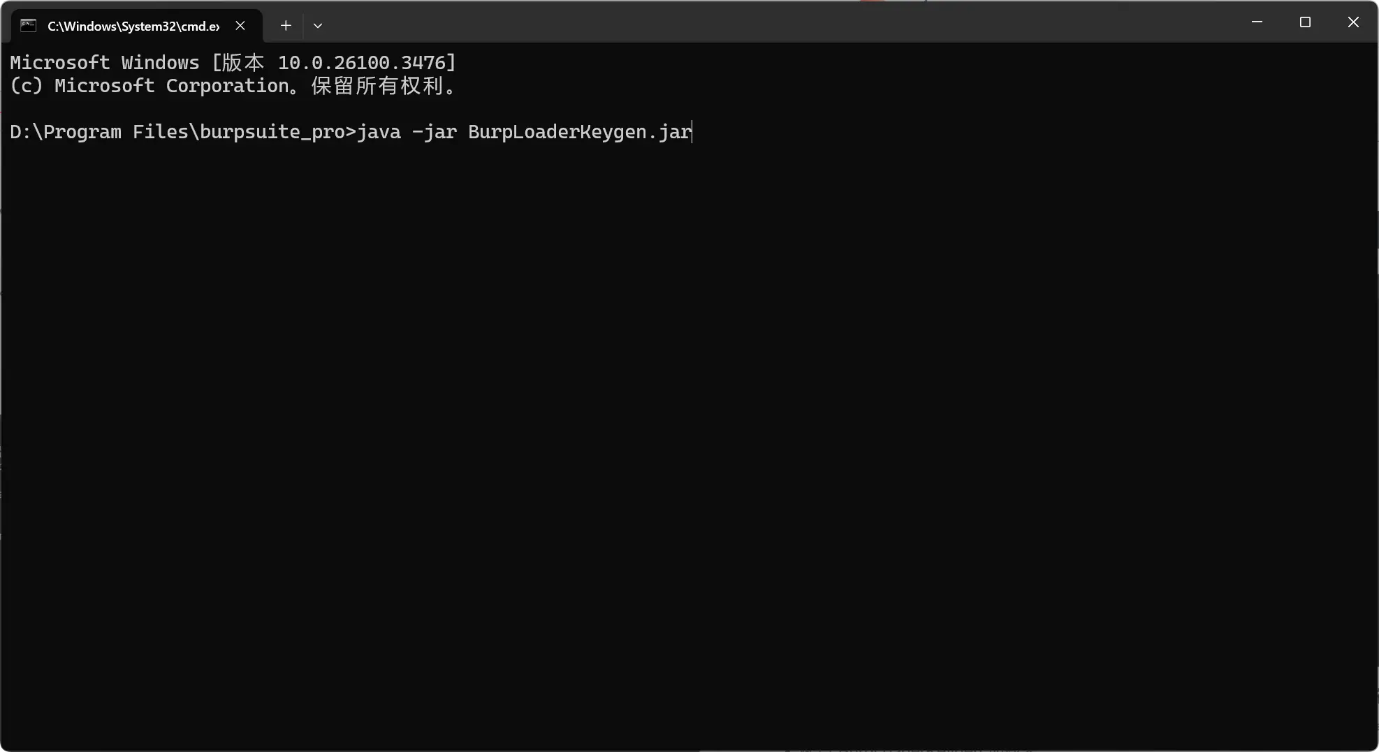 Burp Suite 的安装（2025）_burpsuite 2025-CSDN博客