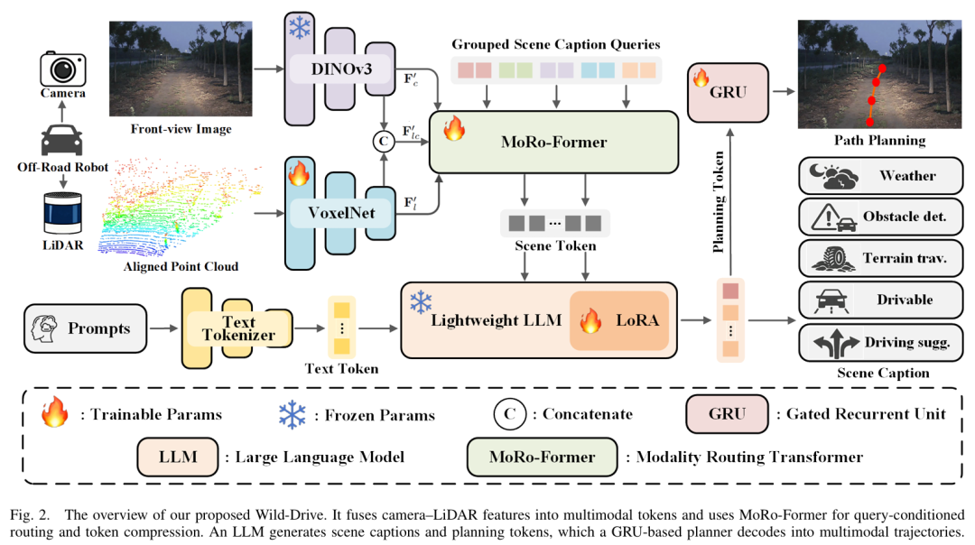 东南最新开源Wild-Drive：越野自动驾驶终于不再黑箱-CSDN博客