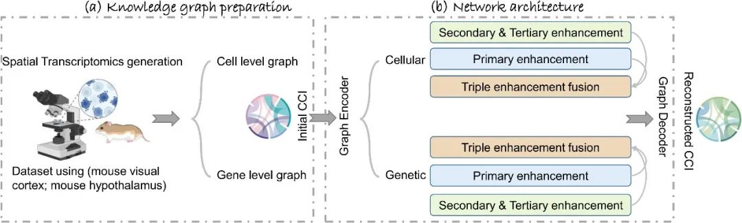 Bio-protocol | 近一年“生物信息”实验方案合集-CSDN博客