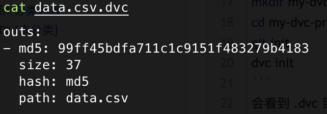 使用DVC管理大文件变更历史（基于git）-CSDN博客