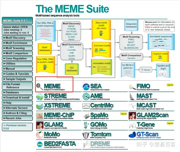 如何进行Motif预测分析和解读？MEME和HOMER全解析_meme motif-CSDN博客