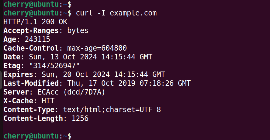 20 个你应该知道的 Linux 网络命令 - Ubuntu/Debian/Rocky Linux 通用教程_linux网络命令-CSDN博客