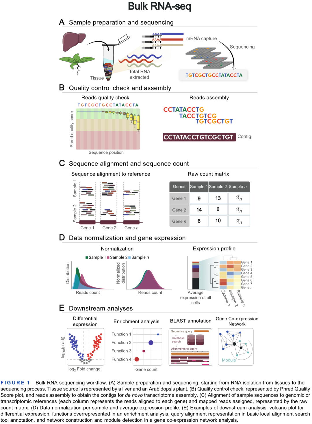 RNA-seq和scRNA-seq的生物信息学分析全面比较-CSDN博客
