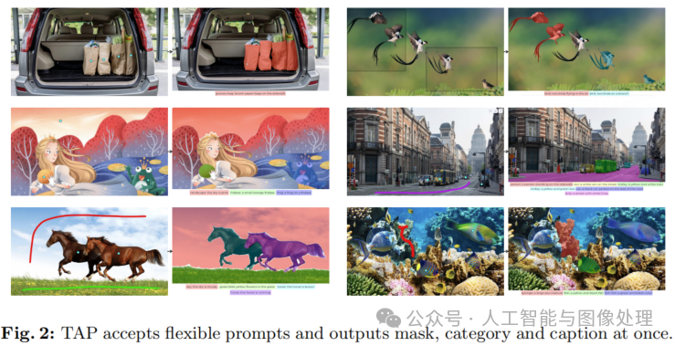 TAP：对任何事物进行分割、识别和描述-CSDN博客