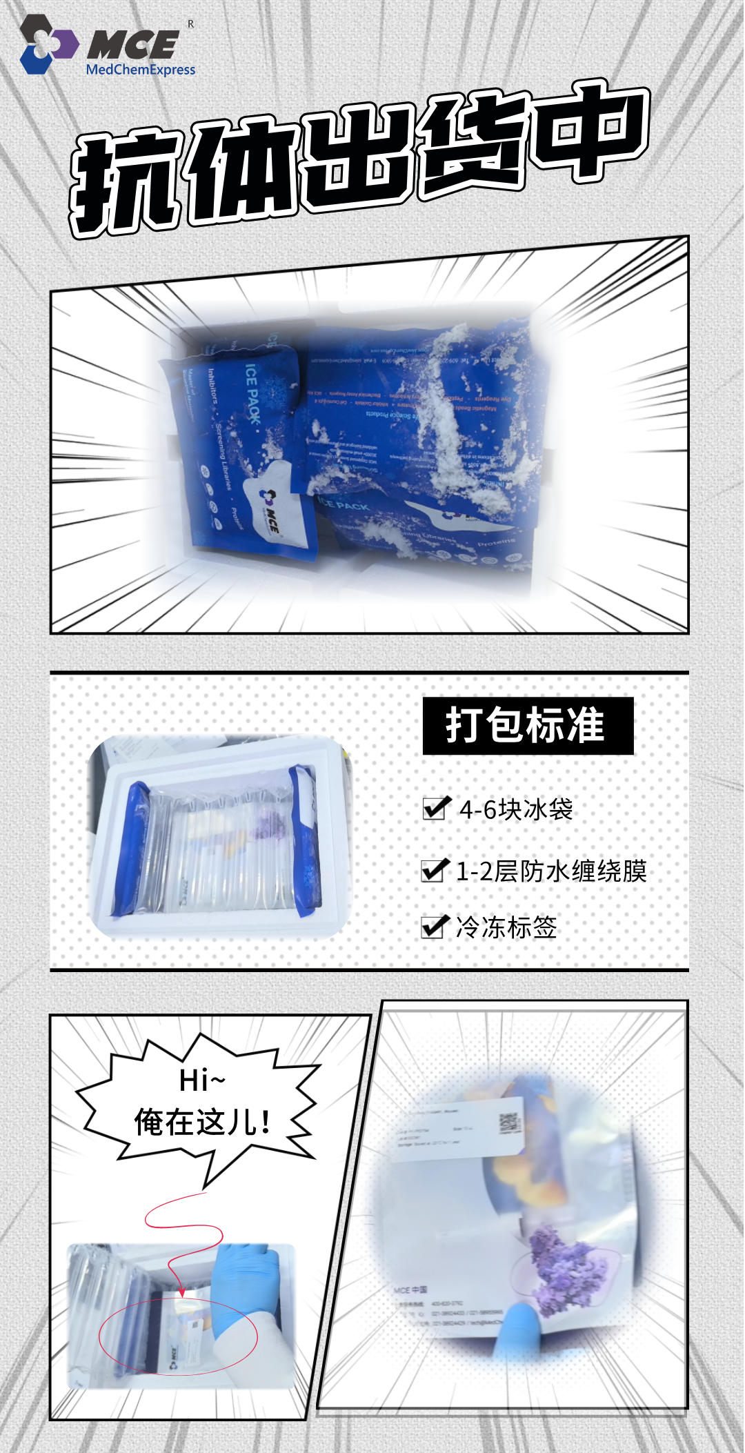 干货分享 | 抗体很重要! 冻融 3 次失活 50%？—— 抗体保存避坑指南 | MCE-CSDN博客