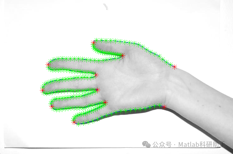 【图像分割和识别】活动形状模型 （ASM） 和活动外观模型 （AAM）附Matlab代码_动态形状模型-CSDN博客