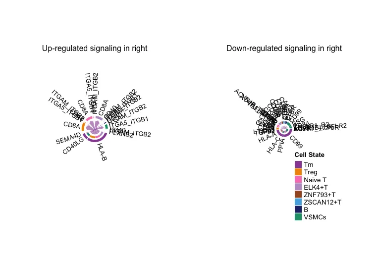 单细胞实战之cellchat——入门到进阶(高级篇1）_findenrichedsignaling-CSDN博客