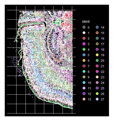 SCS 46.Seurat v5解析单细胞空转数据(Xenium)-CSDN博客