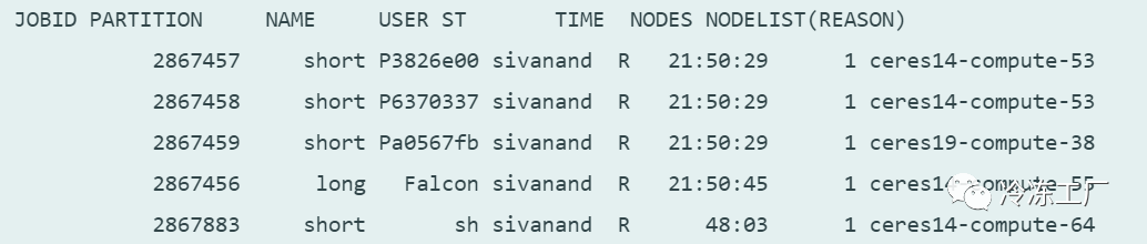 【集群】slurm-CSDN博客
