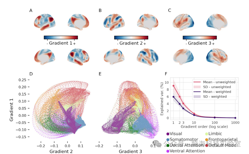 Hum Brain Mapp：通过降维和图论分析了解功能图谱与智力之间的联系-CSDN博客