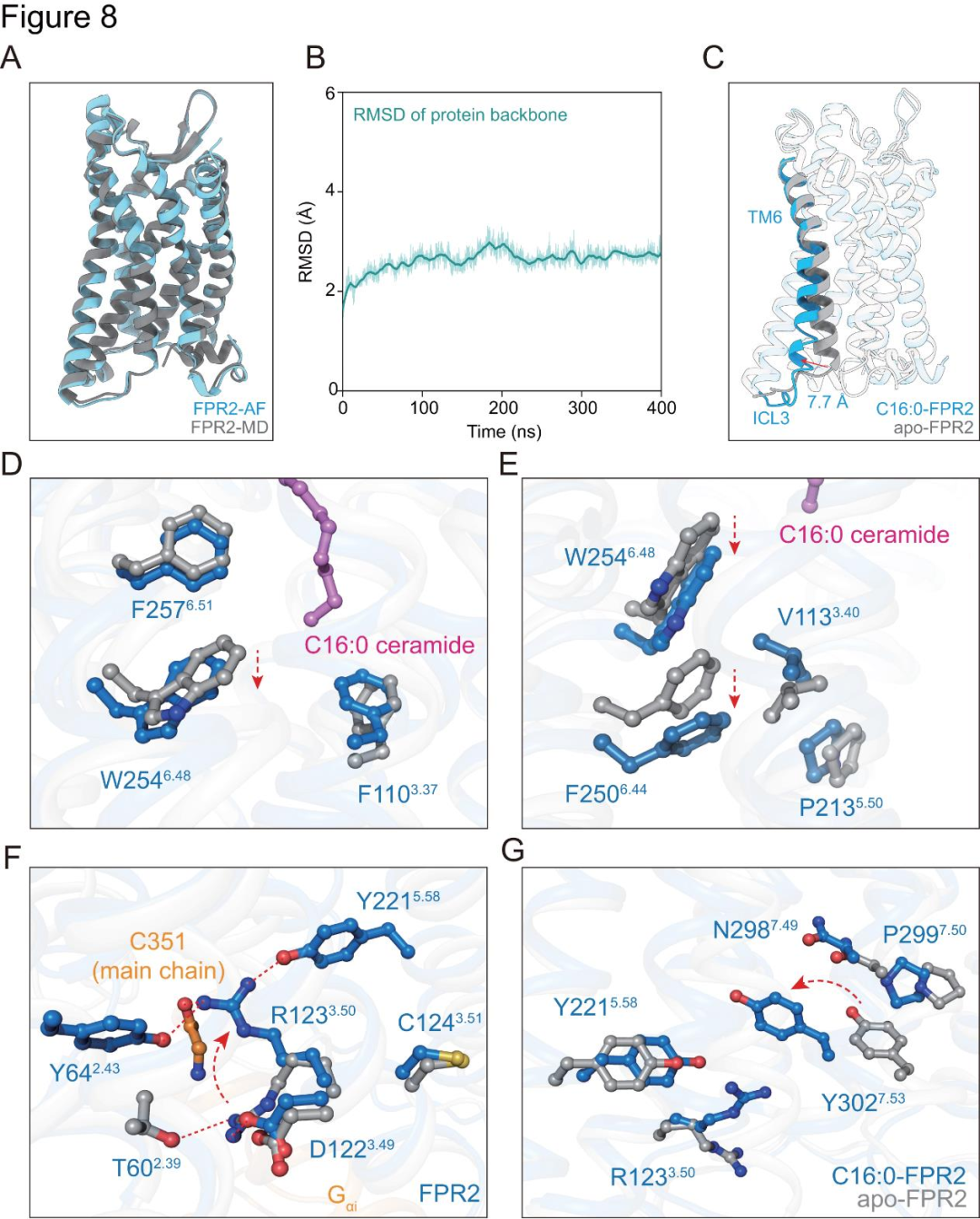 孙金鹏、姜长涛、孔炜又又又登顶刊！Nature余热未尽，Science揭秘神经酰胺和FPR2受体竟是脂肪代谢 “操控大师”_c16 :0神经酰胺-CSDN博客