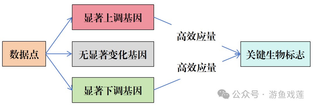 【火山图】：附Origin详细画图教程_火山图origin-CSDN博客